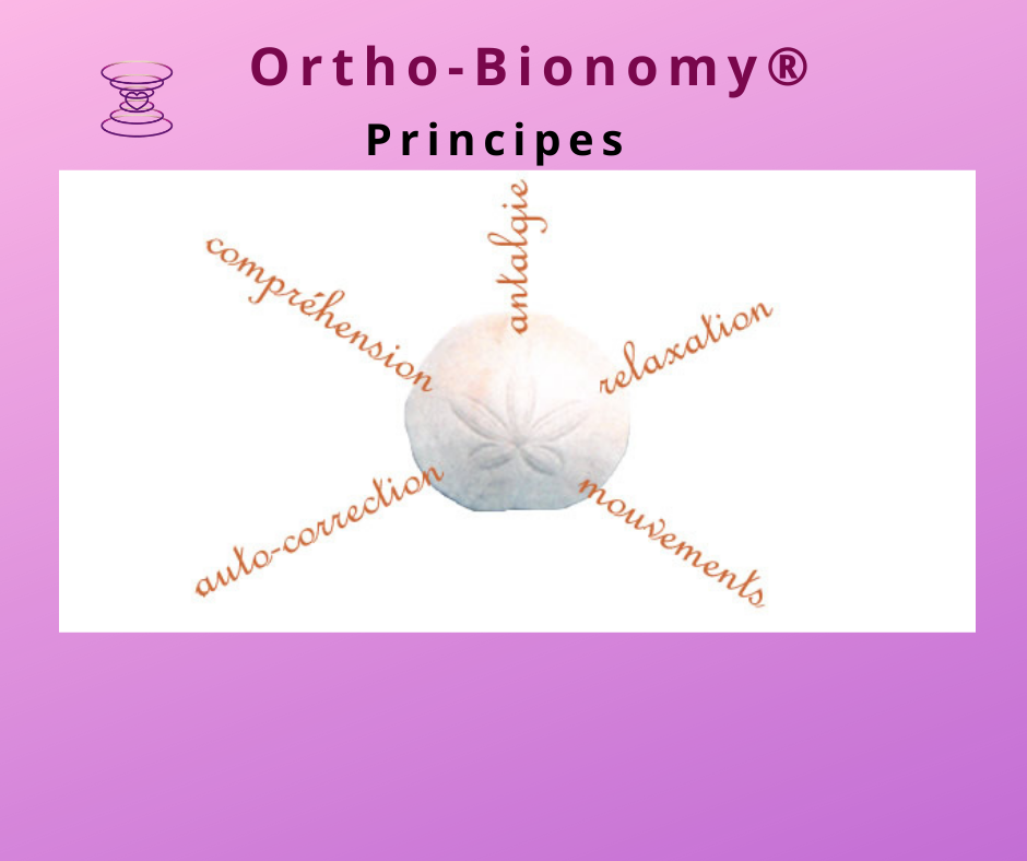 Comment ça fonctionne l’Ortho-Bionomy®? Différents aspects (3/7)